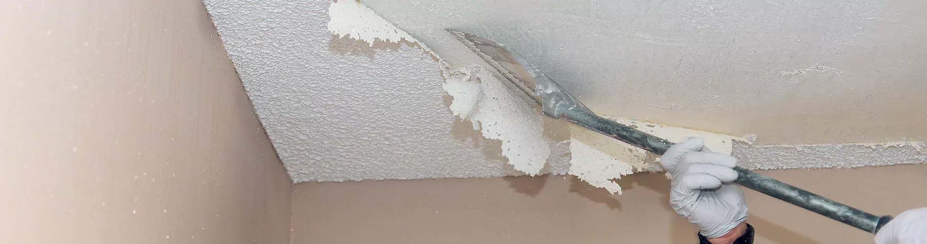 Ceiling Repair